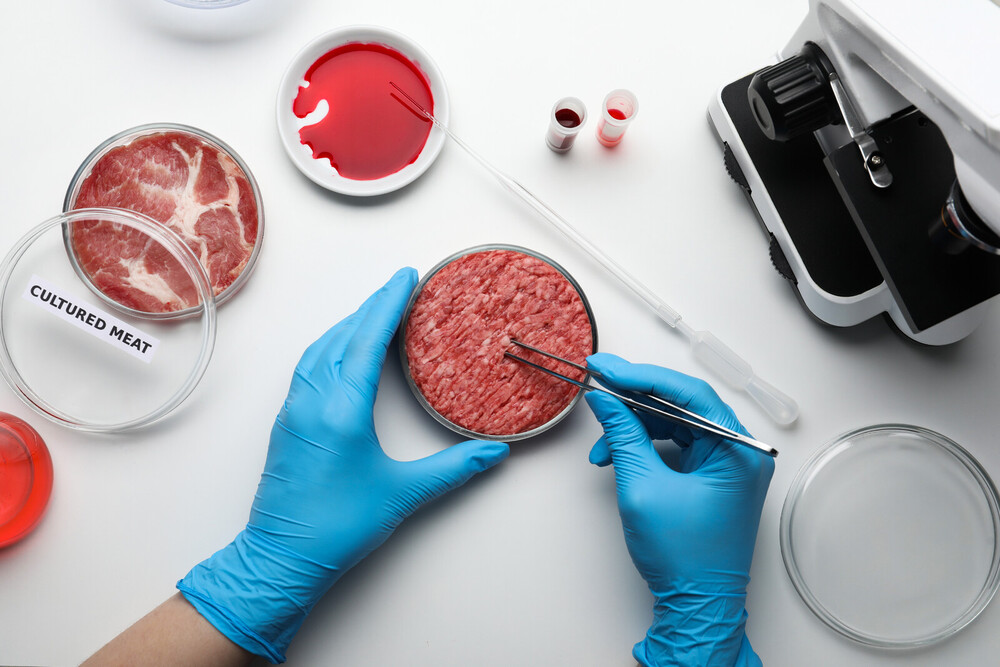 Cultured meat and plant protein will change the food industry | Willett ...
